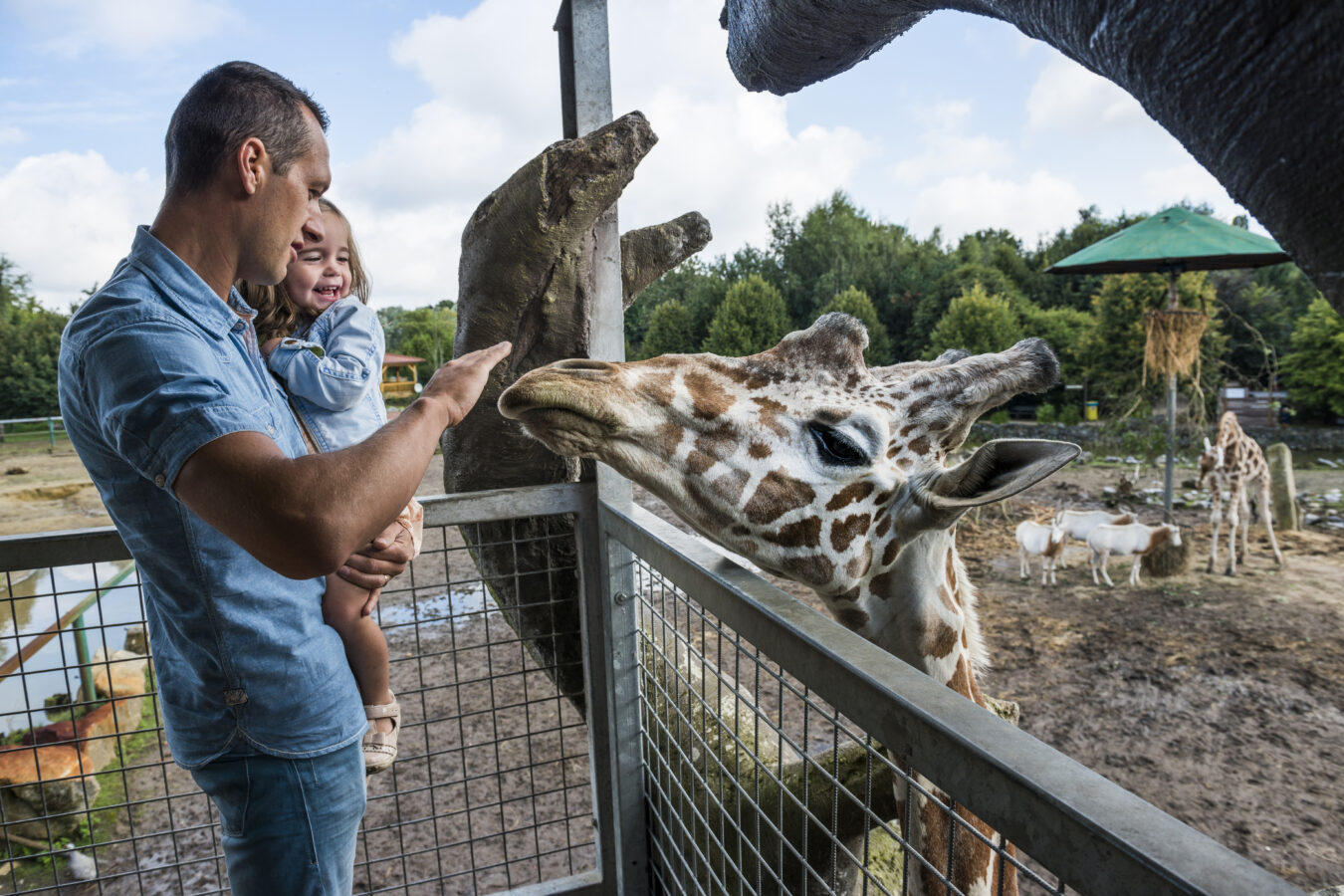 Pakawi Park Zoo - Kempen Campings